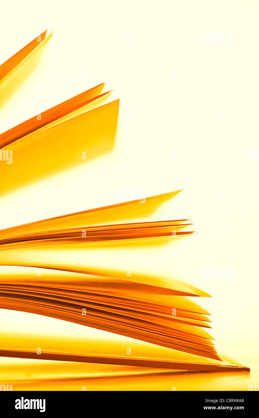 Pages of a book Stock Photo - Alamy