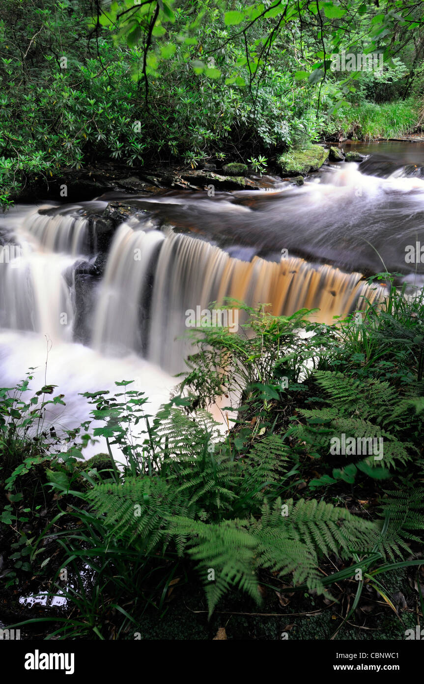 Clare Glens waterfall falls scene scenic along the Clare river flow ...