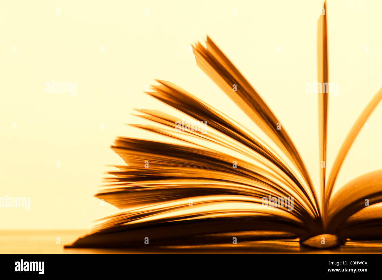 Pages of a book Stock Photo - Alamy