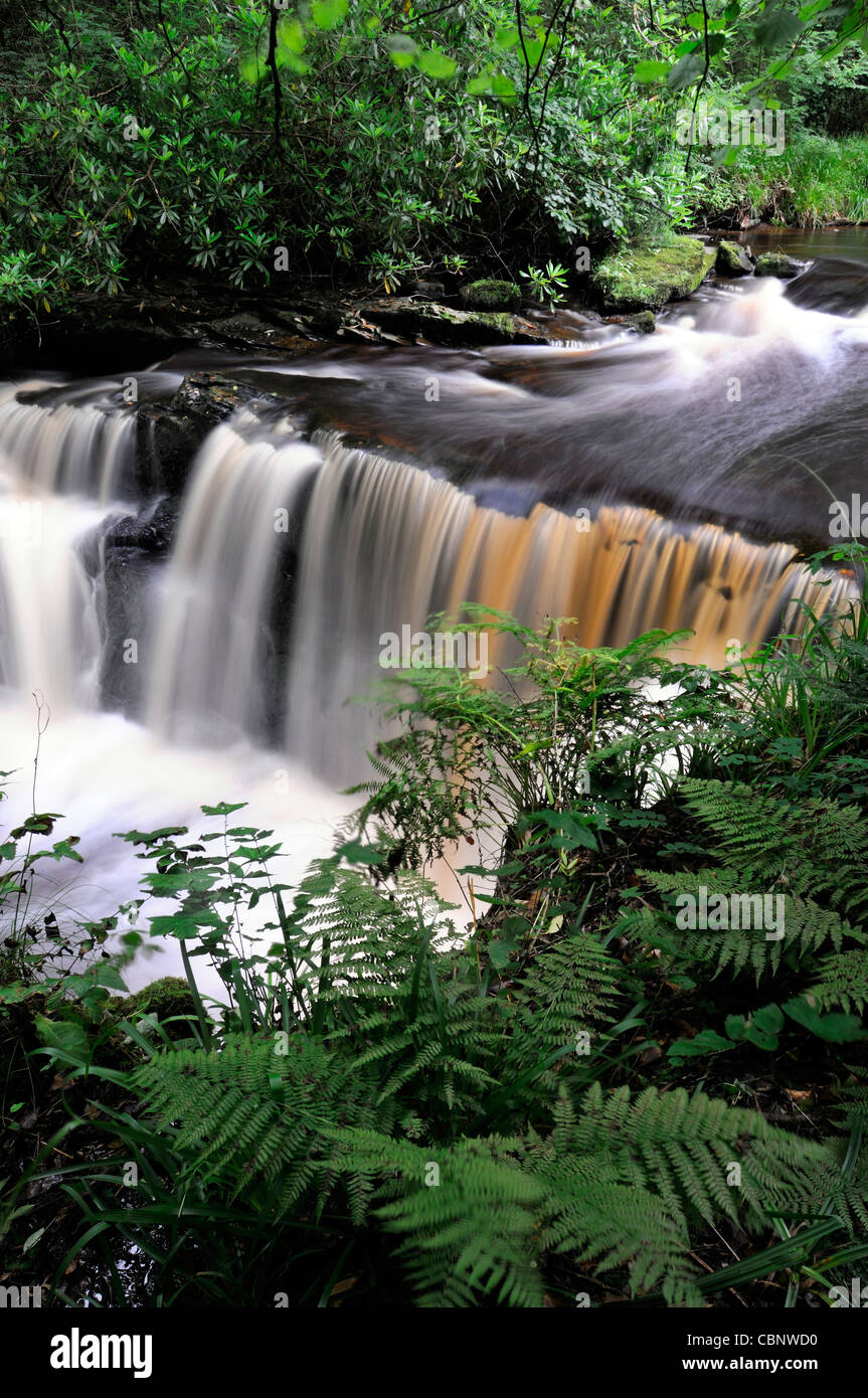 Clare Glens waterfall falls scene scenic along the Clare river flow ...