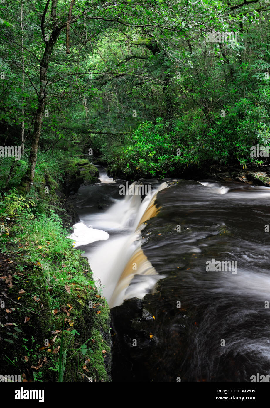 Clare Glens waterfall falls scene scenic along the Clare river flow ...
