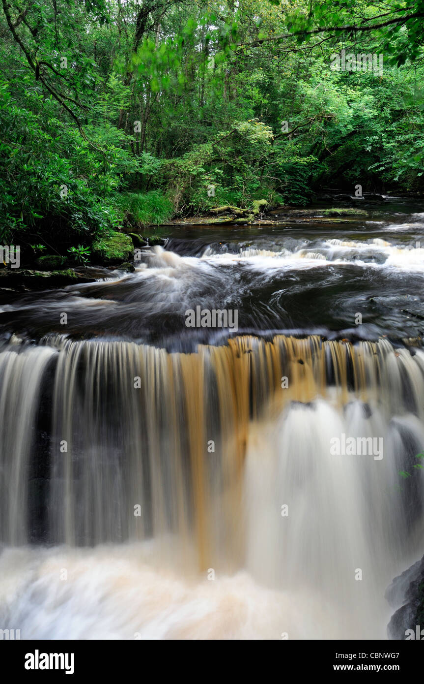 Clare Glens waterfall falls scene scenic along the Clare river flow ...
