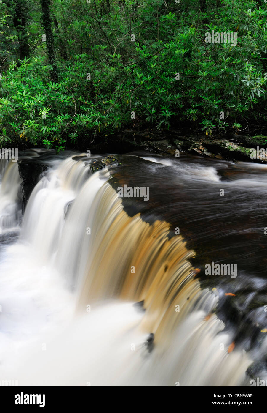 Clare Glens waterfall falls scene scenic along the Clare river flow ...
