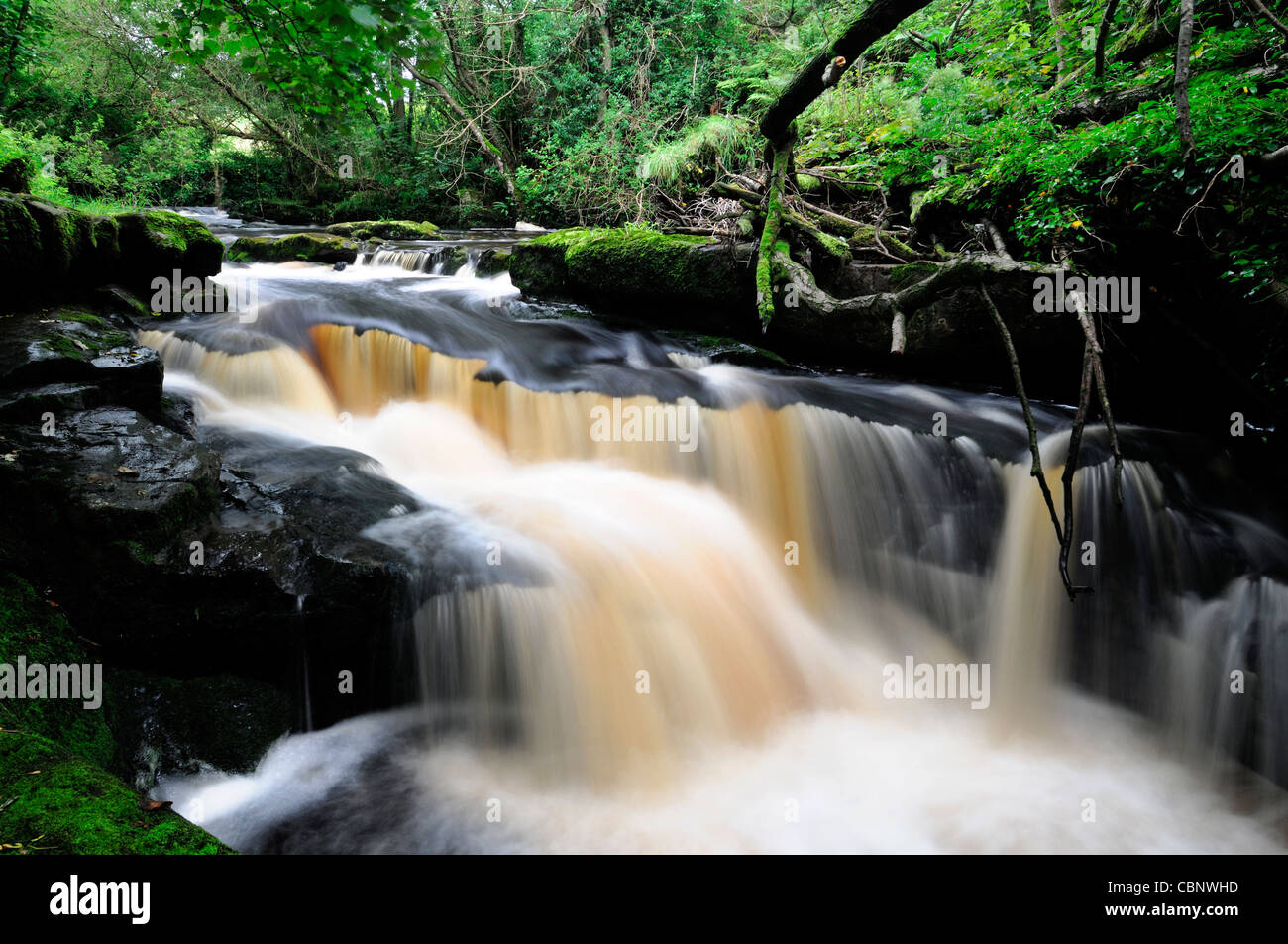 Clare Glens waterfall falls scene scenic along the Clare river flow ...