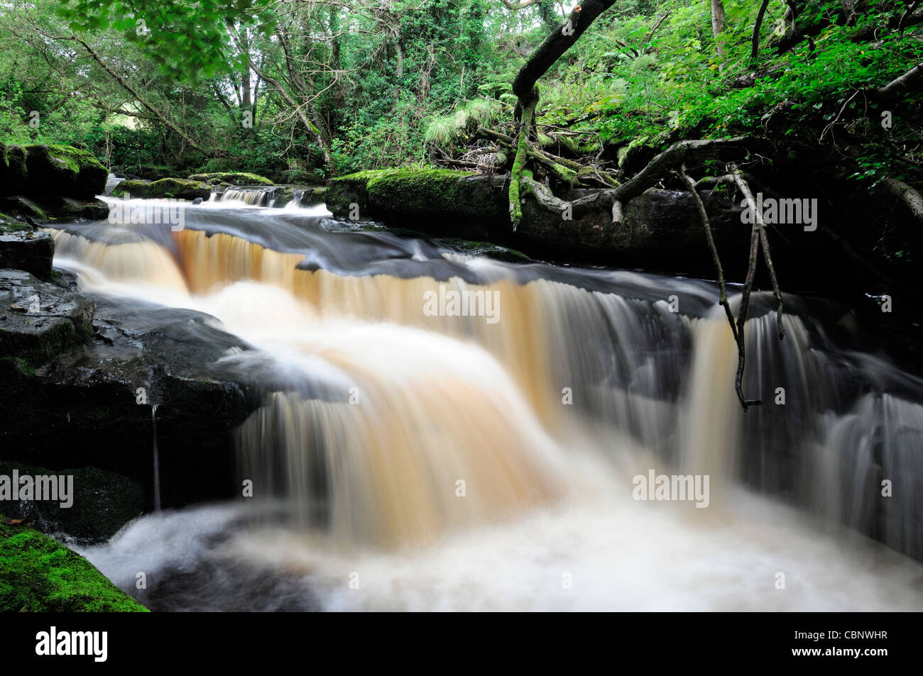 Clare Glens waterfall falls scene scenic along the Clare river flow ...