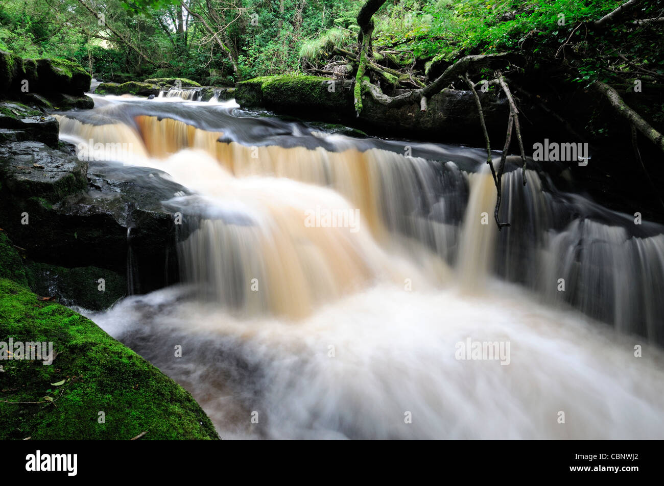 Clare Glens waterfall falls scene scenic along the Clare river flow ...