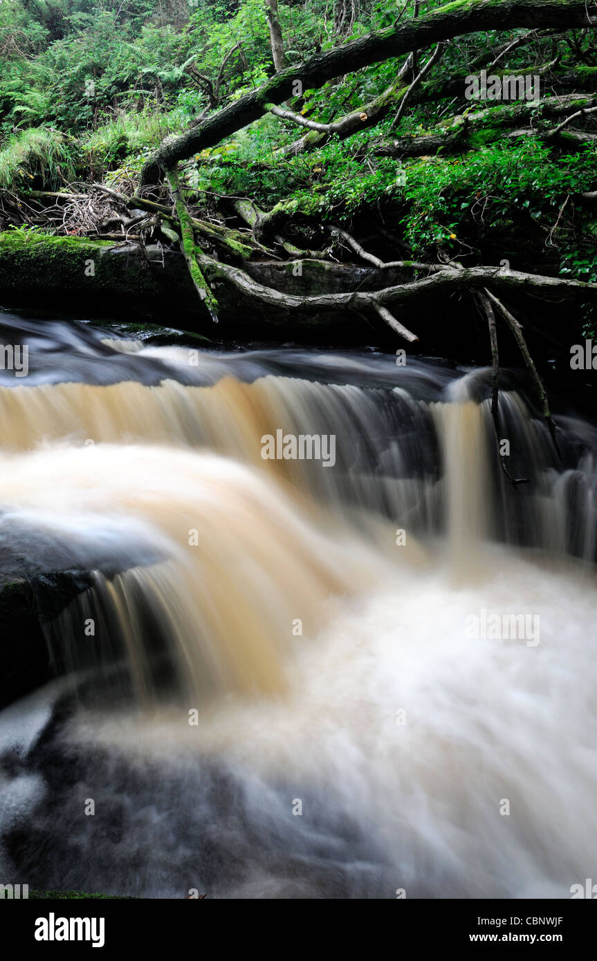 Clare Glens waterfall falls scene scenic along the Clare river flow ...