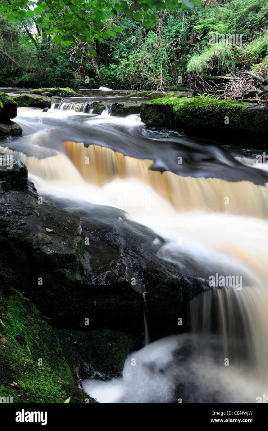Clare Glens waterfall falls scene scenic along the Clare river flow ...