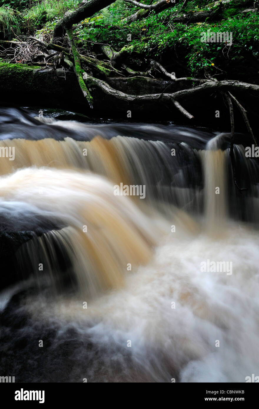 Clare Glens waterfall falls scene scenic along the Clare river flow ...