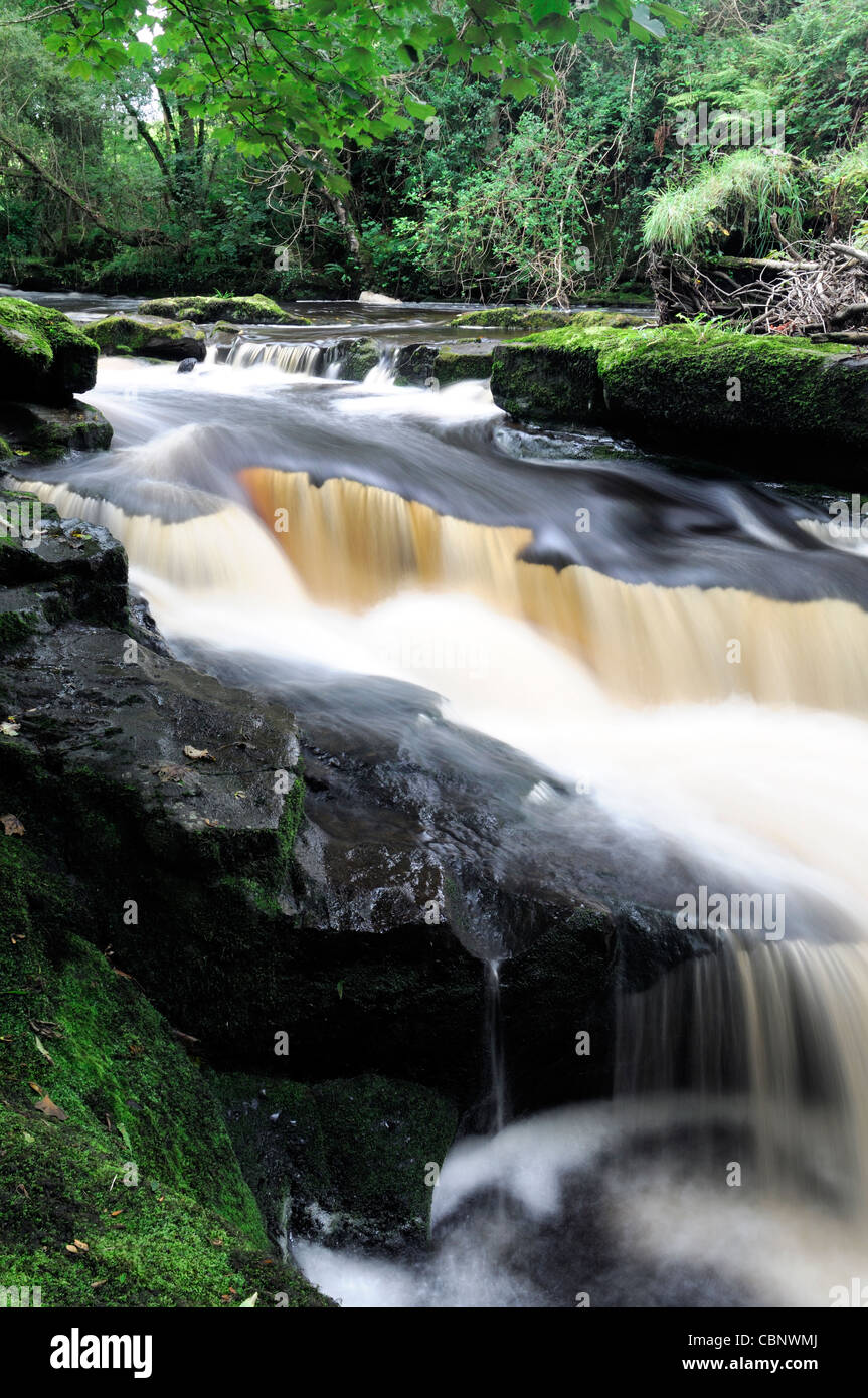 Clare Glens waterfall falls scene scenic along the Clare river flow ...
