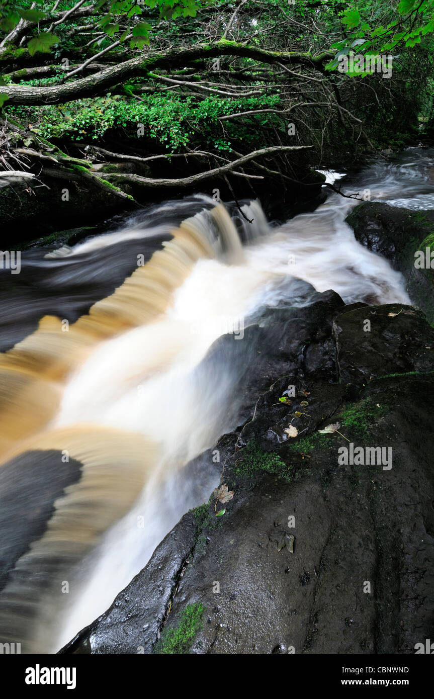 Clare Glens waterfall falls scene scenic along the Clare river flow ...