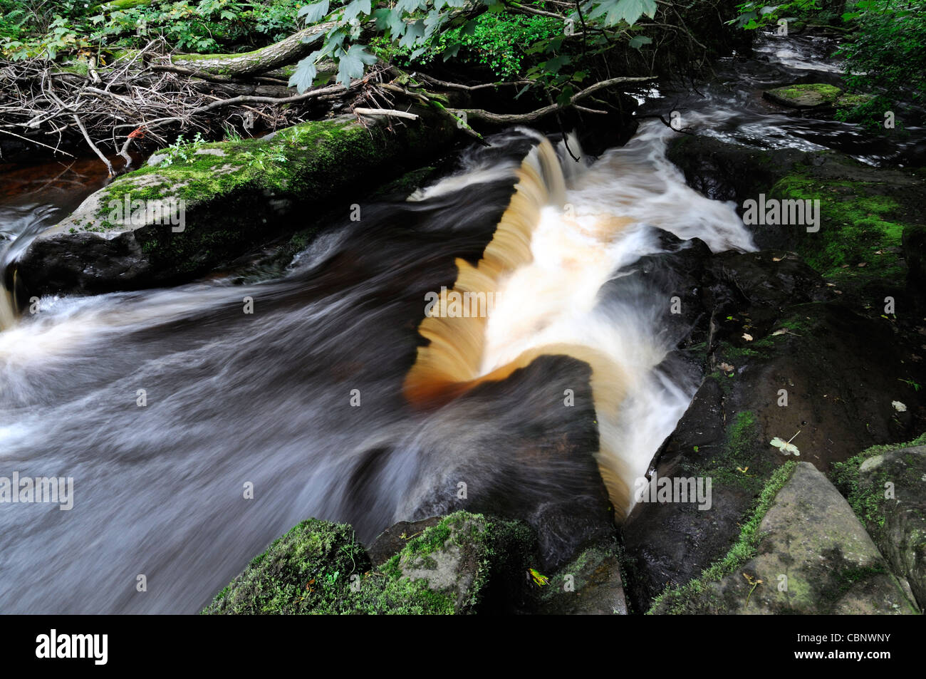 Clare Glens waterfall falls scene scenic along the Clare river flow ...