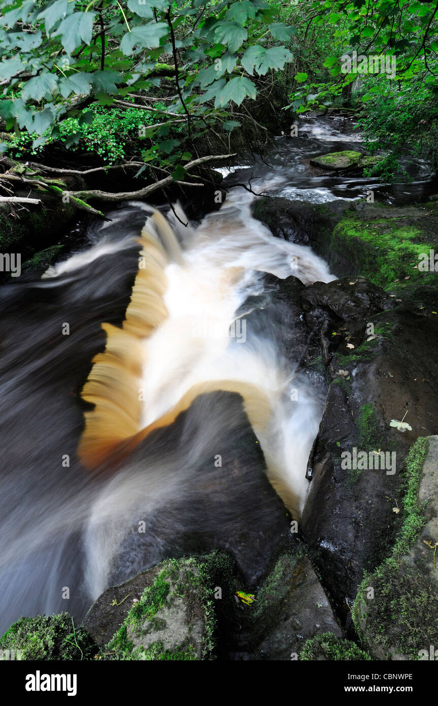 Clare Glens waterfall falls scene scenic along the Clare river flow ...