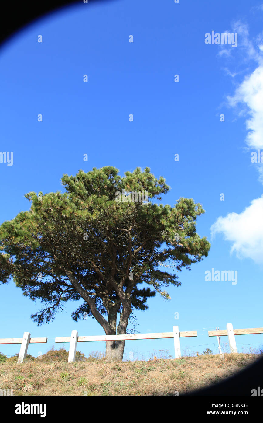 Special effect hi-res stock photography and images - Alamy