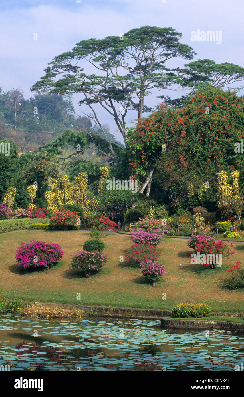 Peradeniya Botanical Garden, Kandy, Sri Lanka Stock Photo - Alamy