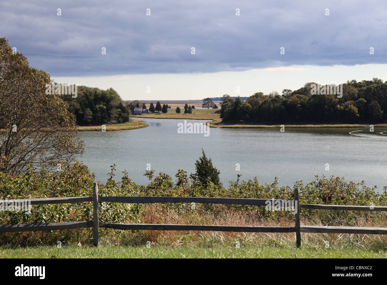 USA, Cape Code, Marshland View Stock Photo - Alamy