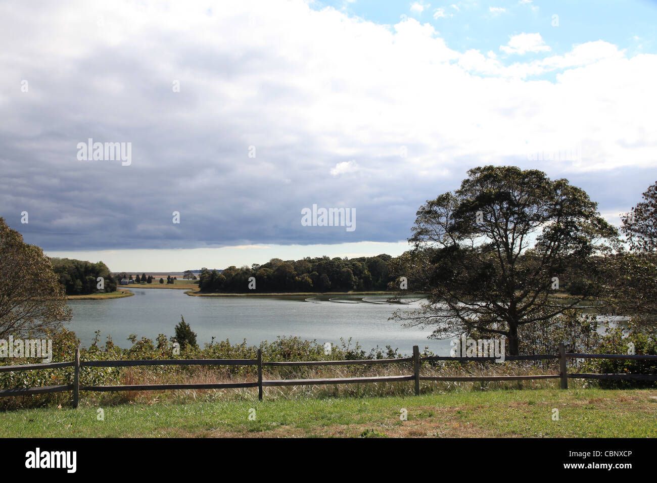 USA, Cape Code, Marshland View Stock Photo - Alamy