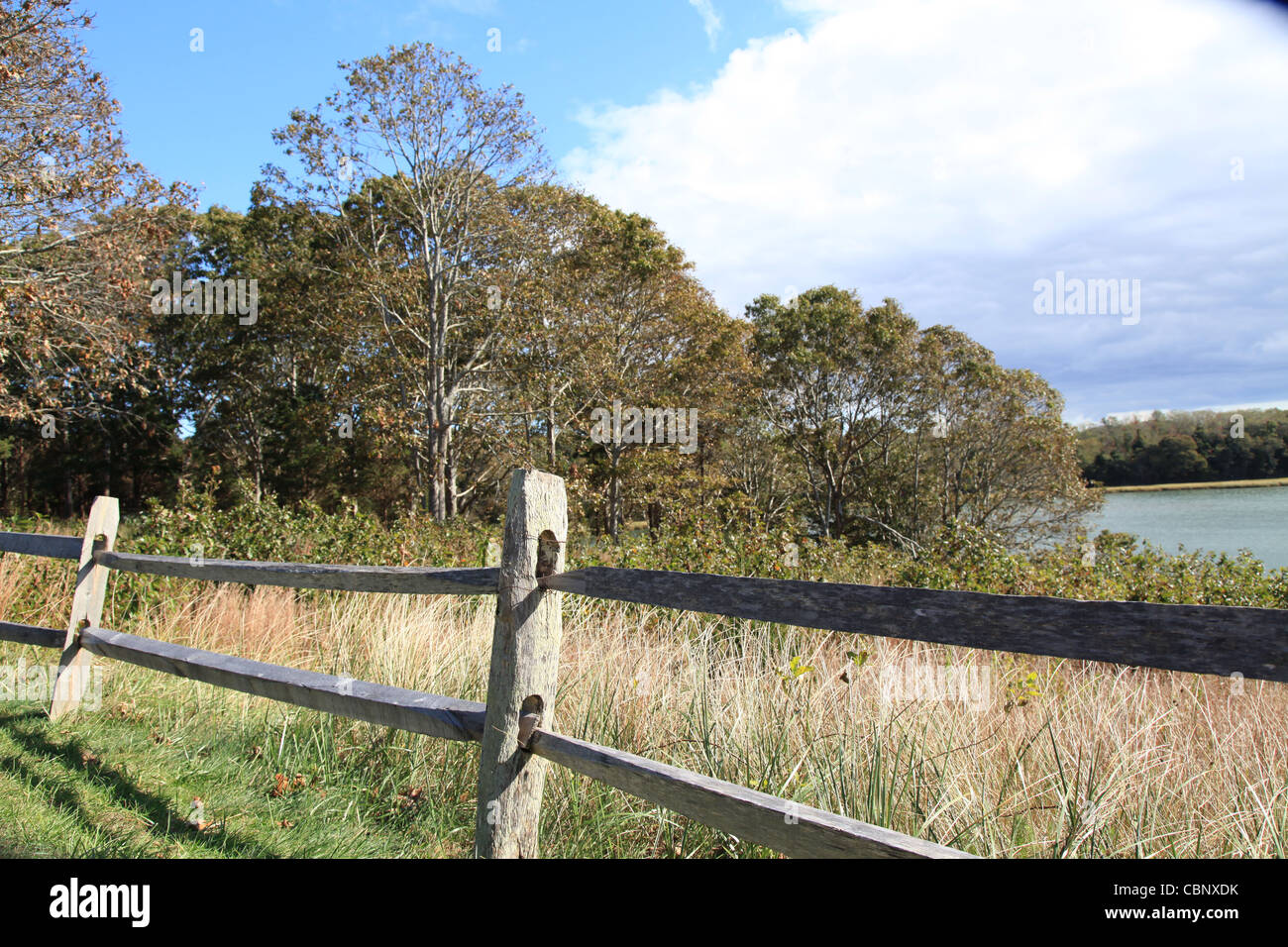 USA, Cape Code, Marshland View Stock Photo - Alamy
