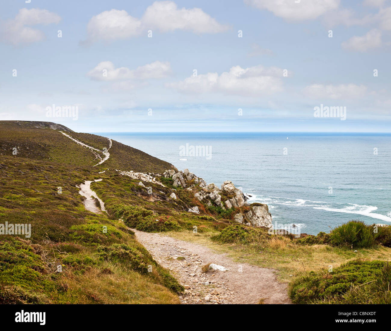 Coast path at Cap de la Chevre, Crozon Peninsula, Finistere, Brittany ...