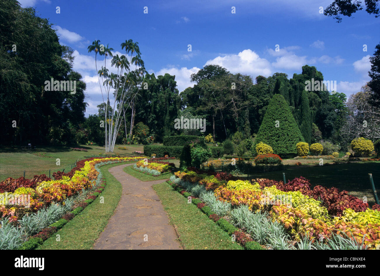 Peradeniya Botanical Garden, Kandy, Sri Lanka Stock Photo - Alamy