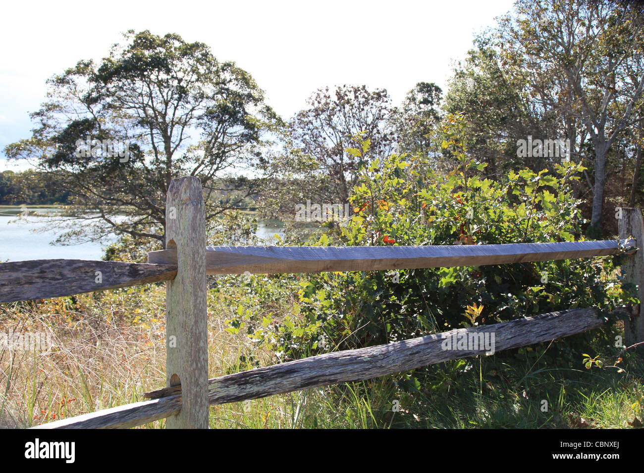 Usa cape code marshland view hi-res stock photography and images - Alamy