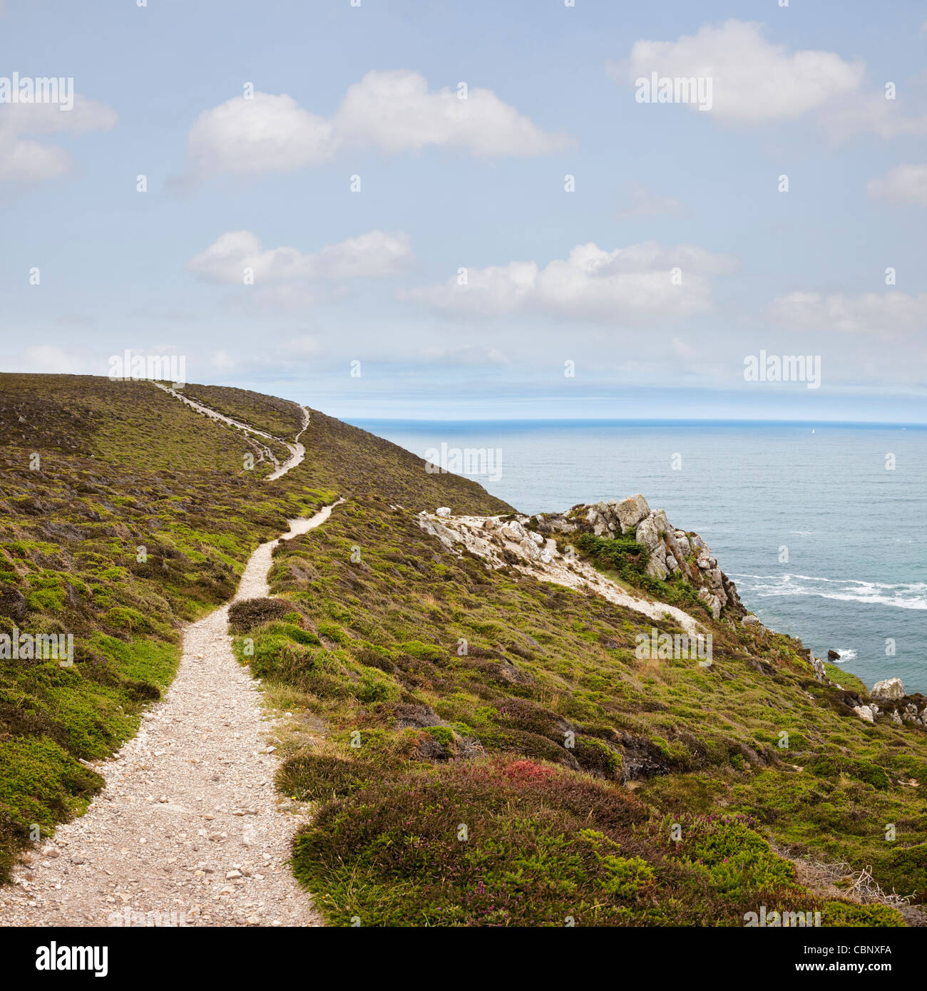 Coast path at Cap de la Chevre, Crozon Peninsula, Finistere, Brittany ...
