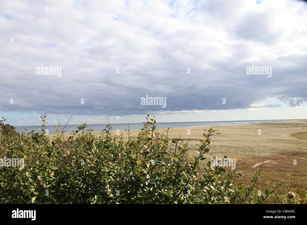 USA, Cape Code, Marshland View Stock Photo - Alamy