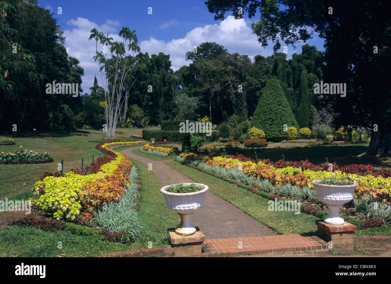 Peradeniya Botanical Garden, Kandy, Sri Lanka Stock Photo - Alamy