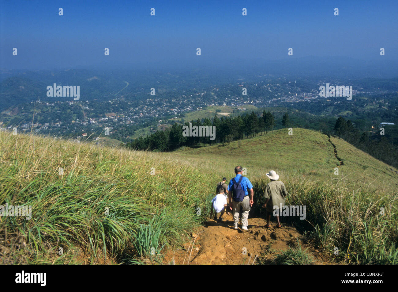 Overview from mountains of Kandy surrounding, Sri Lanka Stock Photo - Alamy
