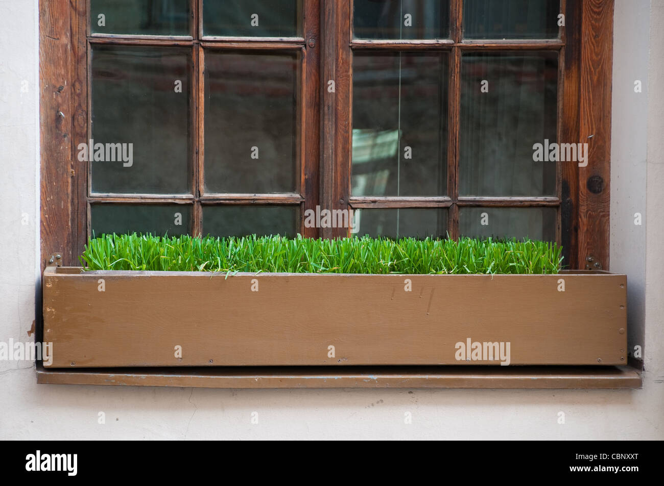 beautiful old window with green grass planted in box beneath it Stock ...