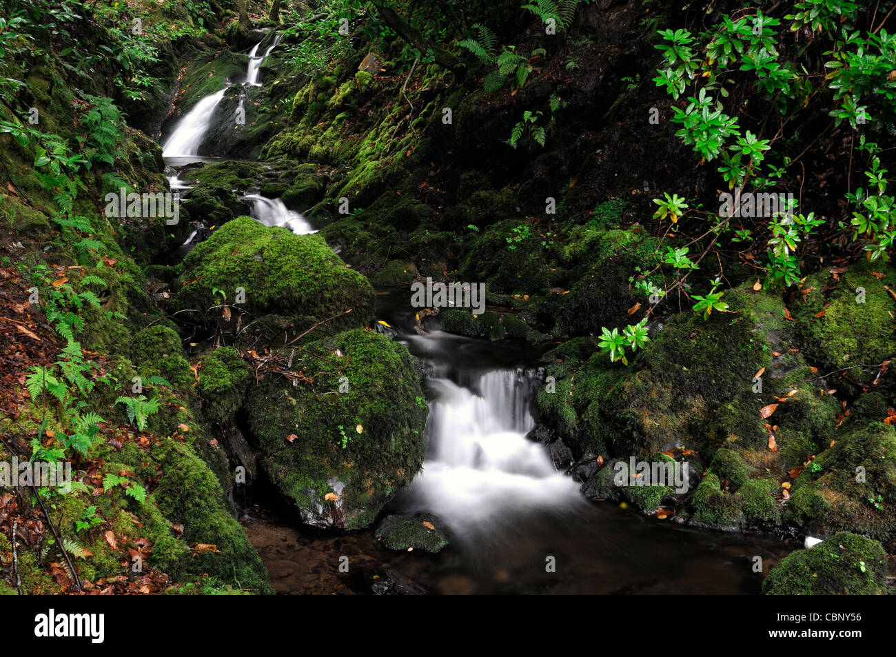 waterfall river stream falls flow woodstock kilkenny ireland Stock ...
