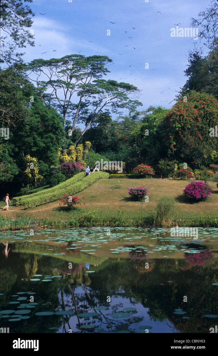 Peradeniya Botanical Garden, Kandy, Sri Lanka Stock Photo - Alamy