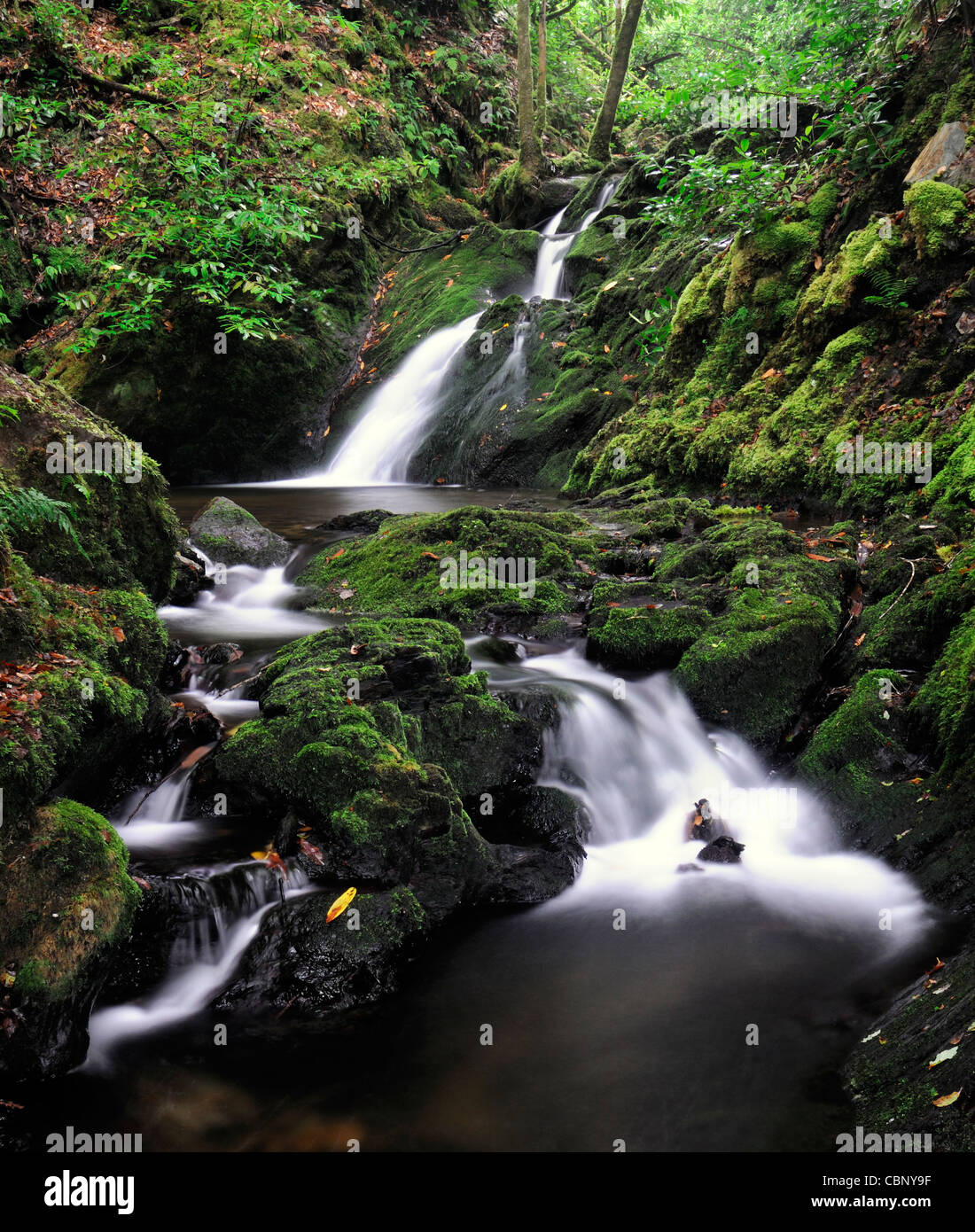waterfall river stream falls flow woodstock kilkenny ireland Stock ...