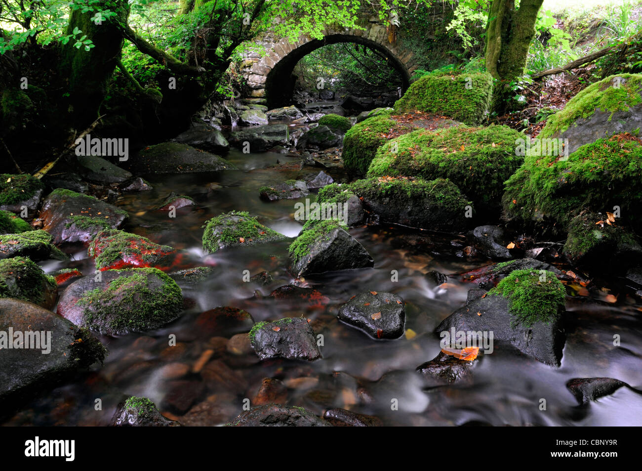 Old stone bridge ireland High Resolution Stock Photography and Images ...