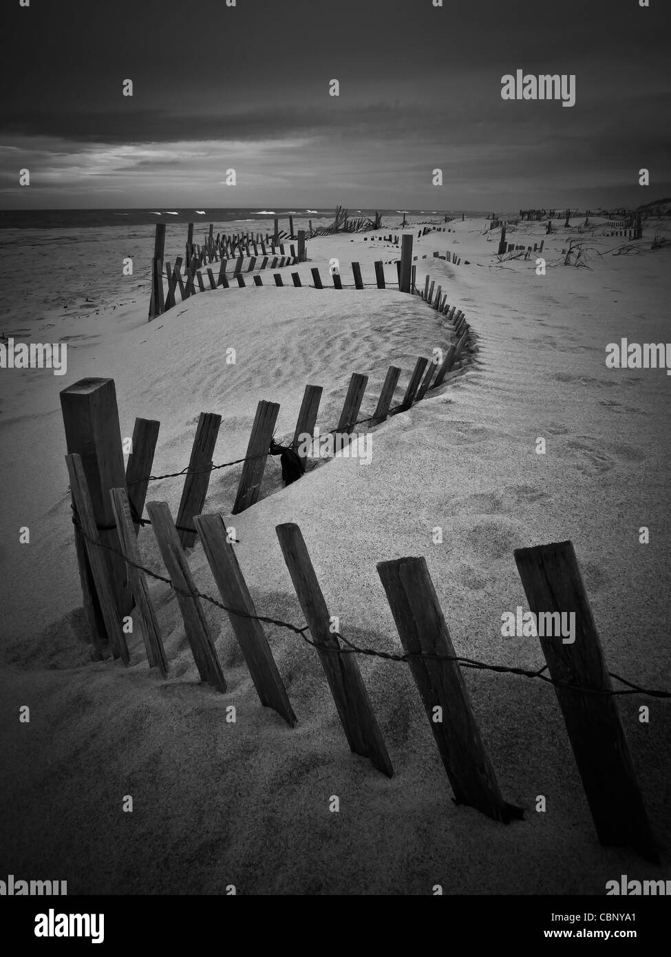 wind fence on the beach in the Hamptons, New York, USA Stock Photo - Alamy