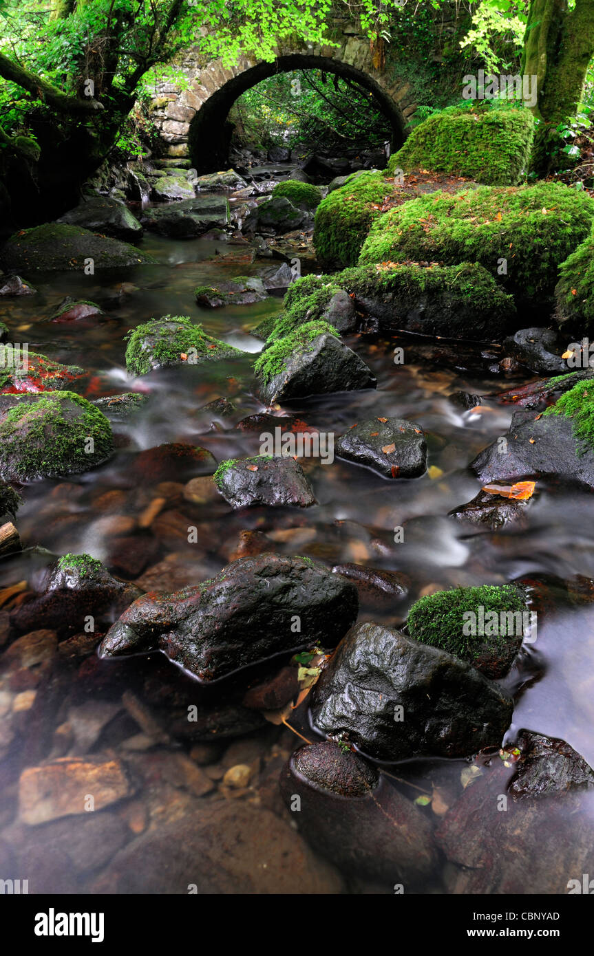 Stone bridge over a stream near Woodstock County Kilkenny Ireland Stock ...