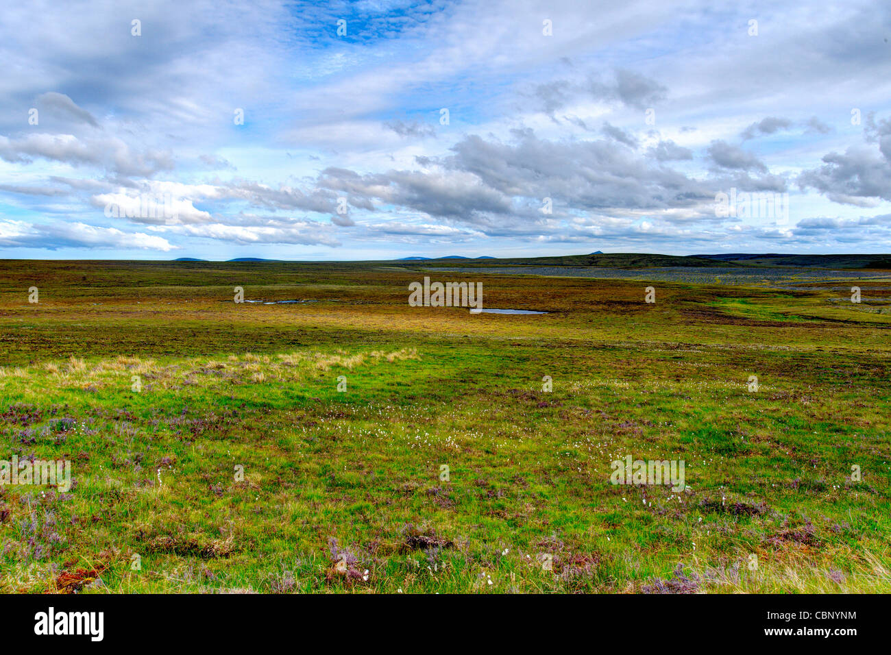 Sphagnum moss moorland of the Flow Country, Sutherland, Scotland Stock ...