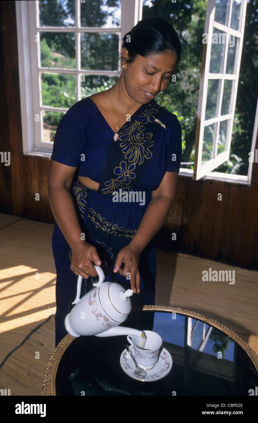 Cup of local tea served by a local lady, Kandy, Sri Lanka Stock Photo ...