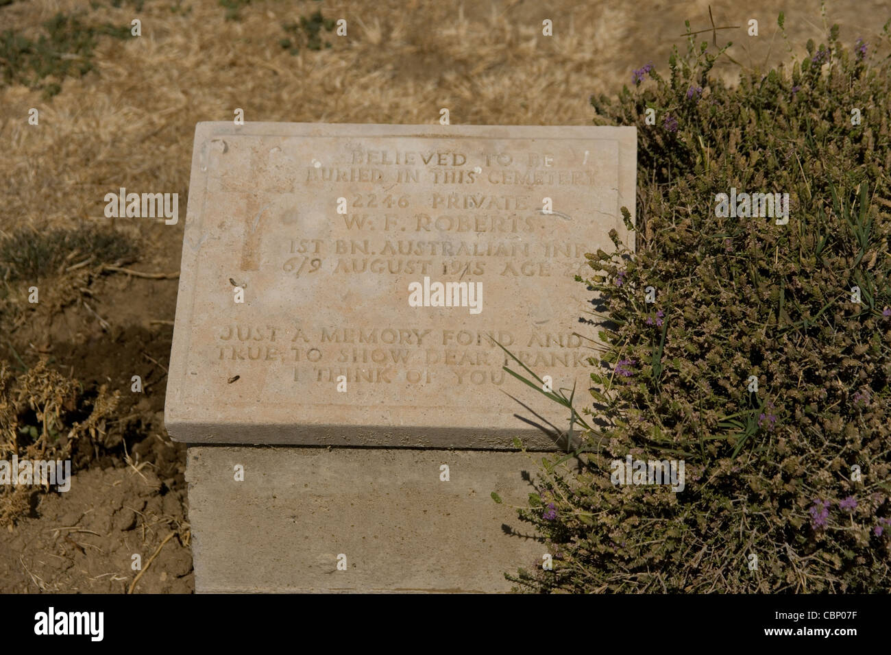 Lone pine commonwealth war graves commission cemetery hi-res stock ...