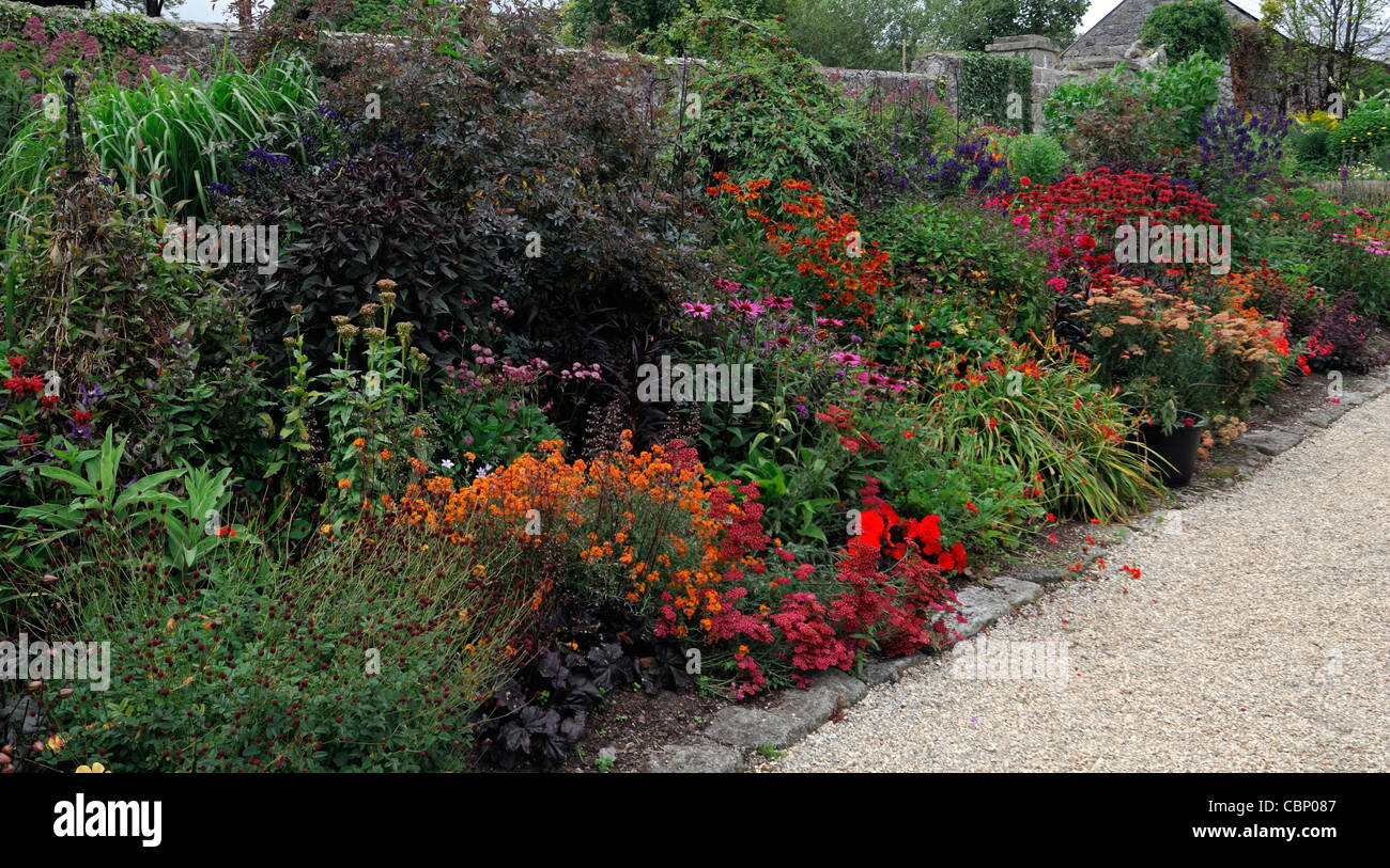 summer flowering flowers herbaceous border bed flower plant planting ...