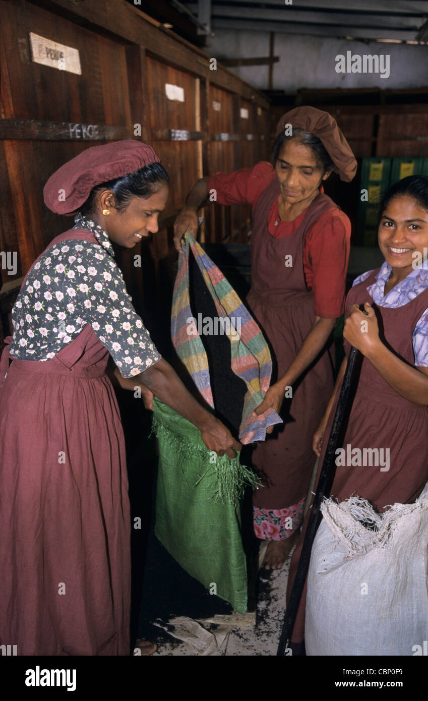 Women packing dried tea leaves, Tea plantation factory, Kandy, Sri ...