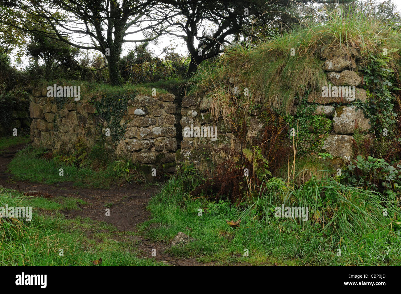 Madron Well Celtic Chapel Baptistry dedicated to St Madron Cornwall ...