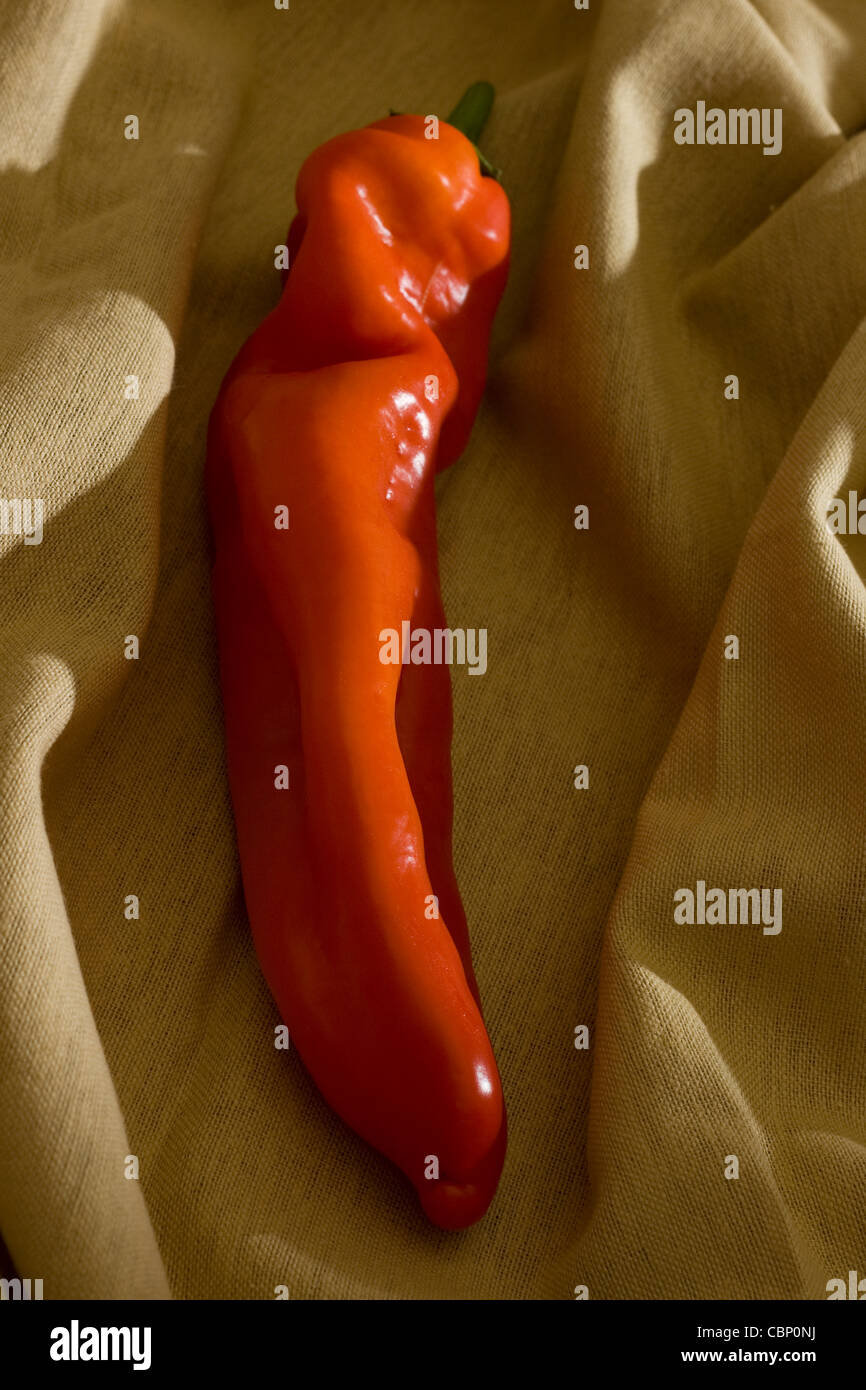 Pimento pepper hi-res stock photography and images - Alamy