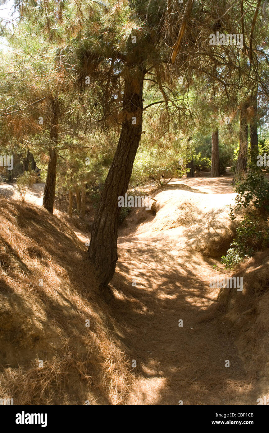 Australian trenches by Johnston's Jolly on Sari Bair Ridge in the Anzac ...