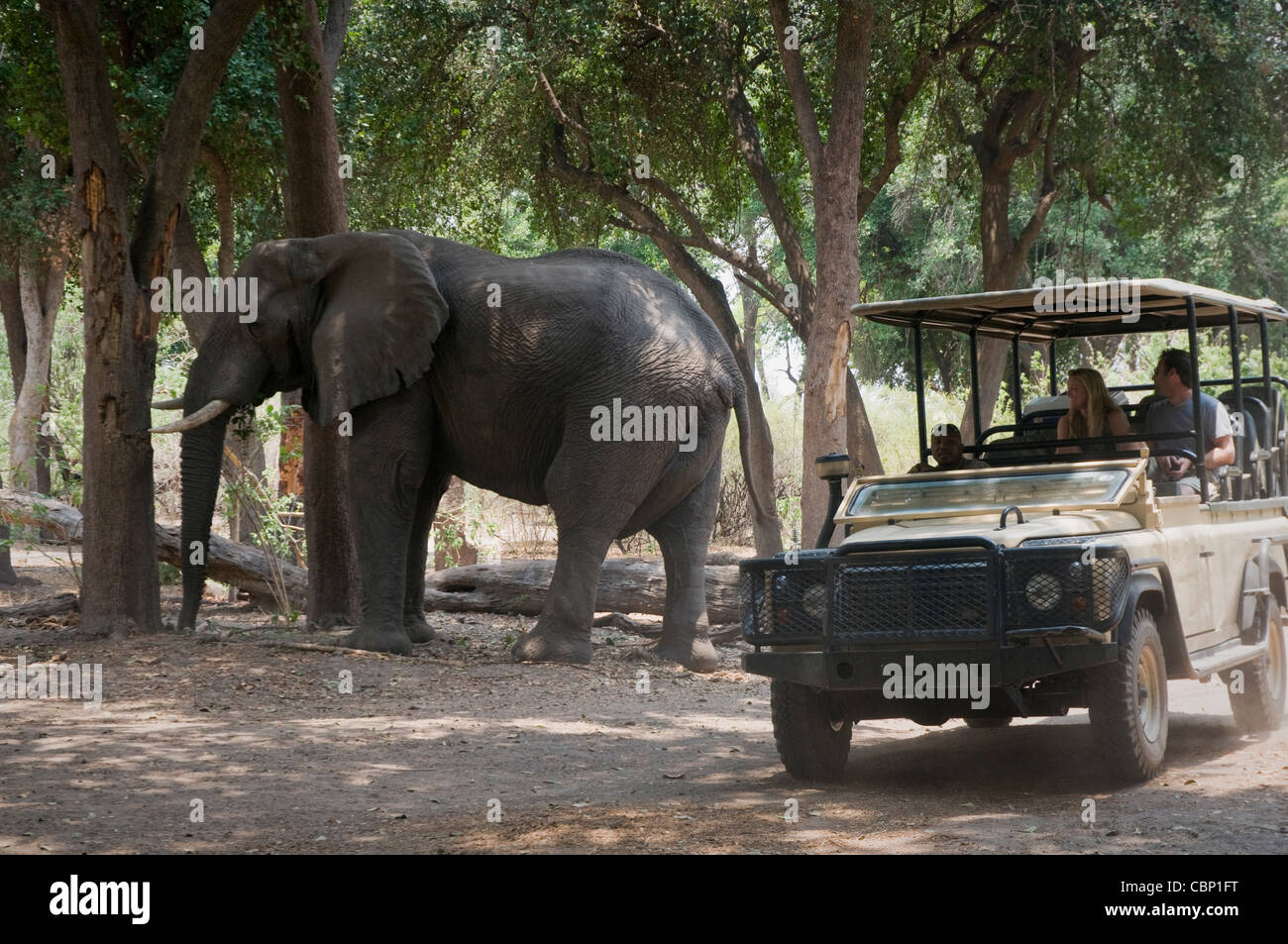 Africa Botswana-Vehicle arriving at the Duma Tau camp in the Linyanti ...