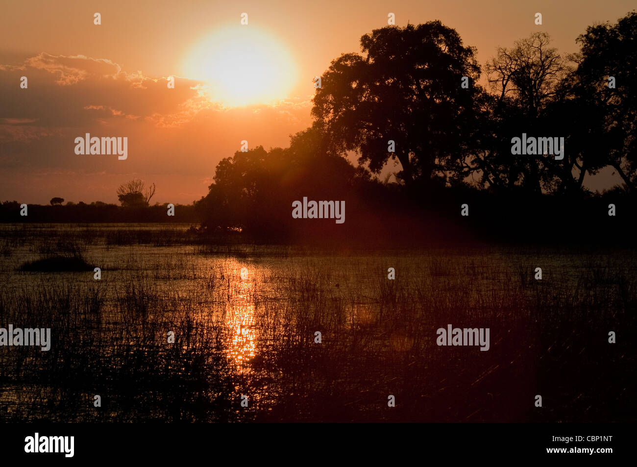 Botswana sunset hi-res stock photography and images - Alamy