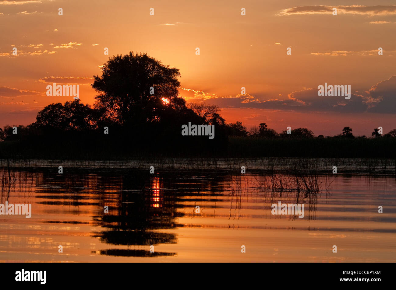 Botswana sunset hi-res stock photography and images - Alamy