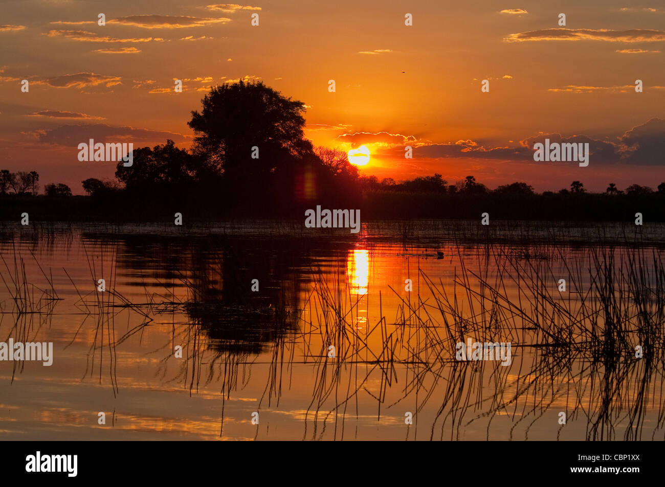 Africa Botswana Sunset over Okavango Delta Stock Photo - Alamy