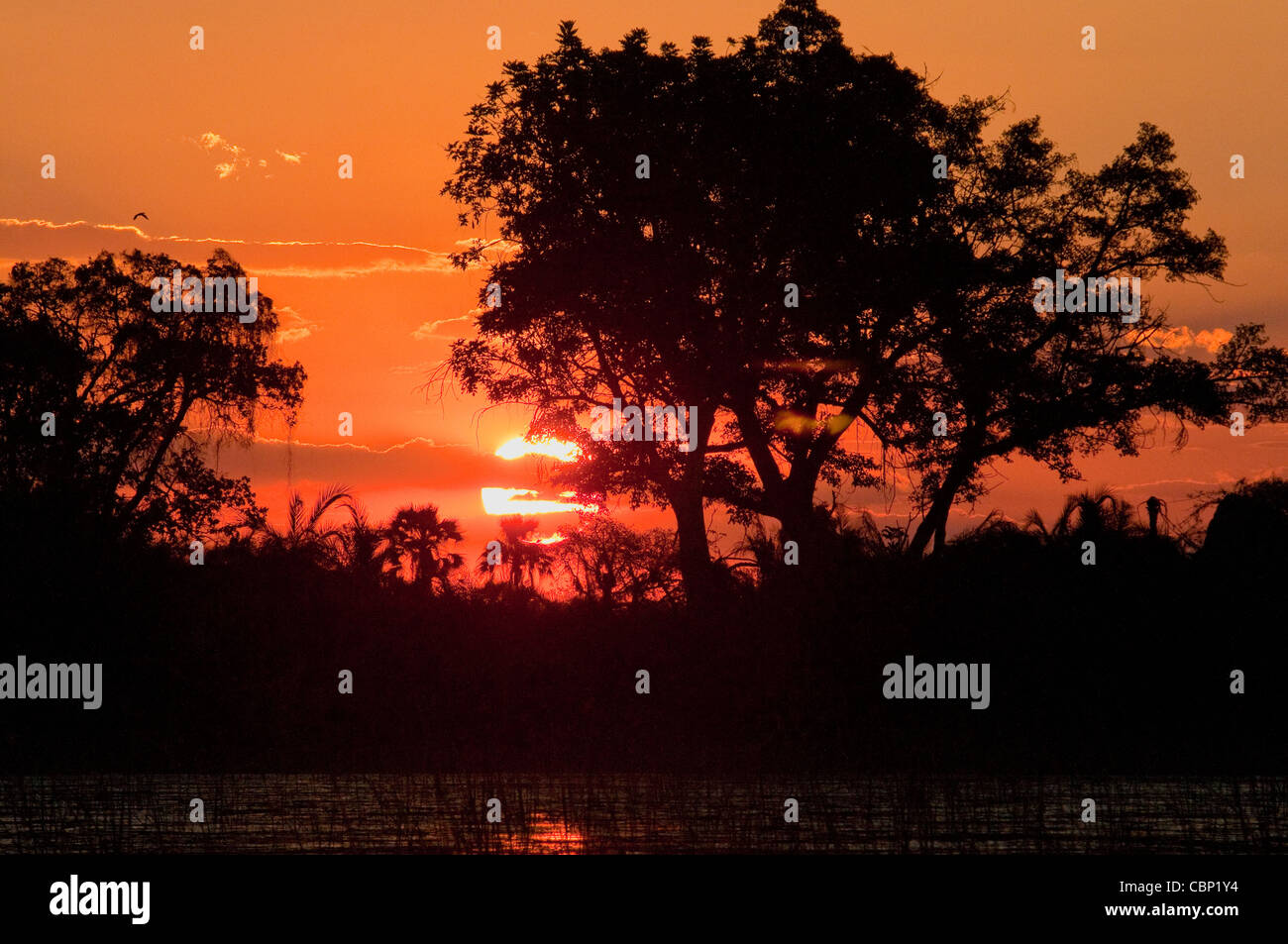 Africa Botswana Sunset over Okavango Delta Stock Photo - Alamy