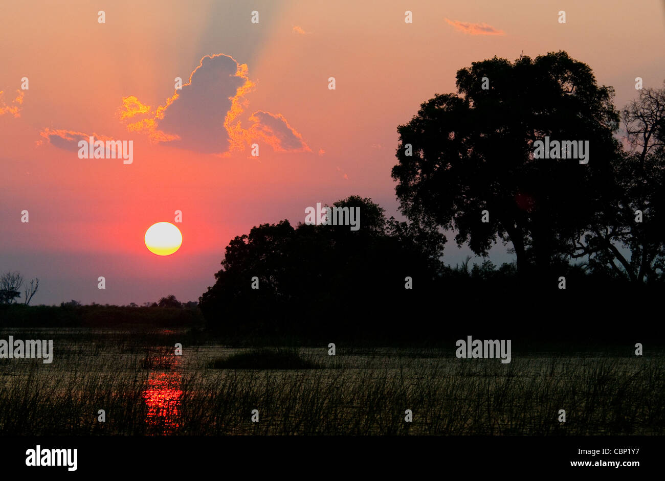 Africa Botswana Sunset over Okavango Delta Stock Photo - Alamy